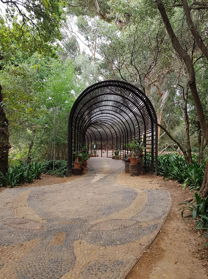 A Visit to a real Gem in the Western Cape — Steemit