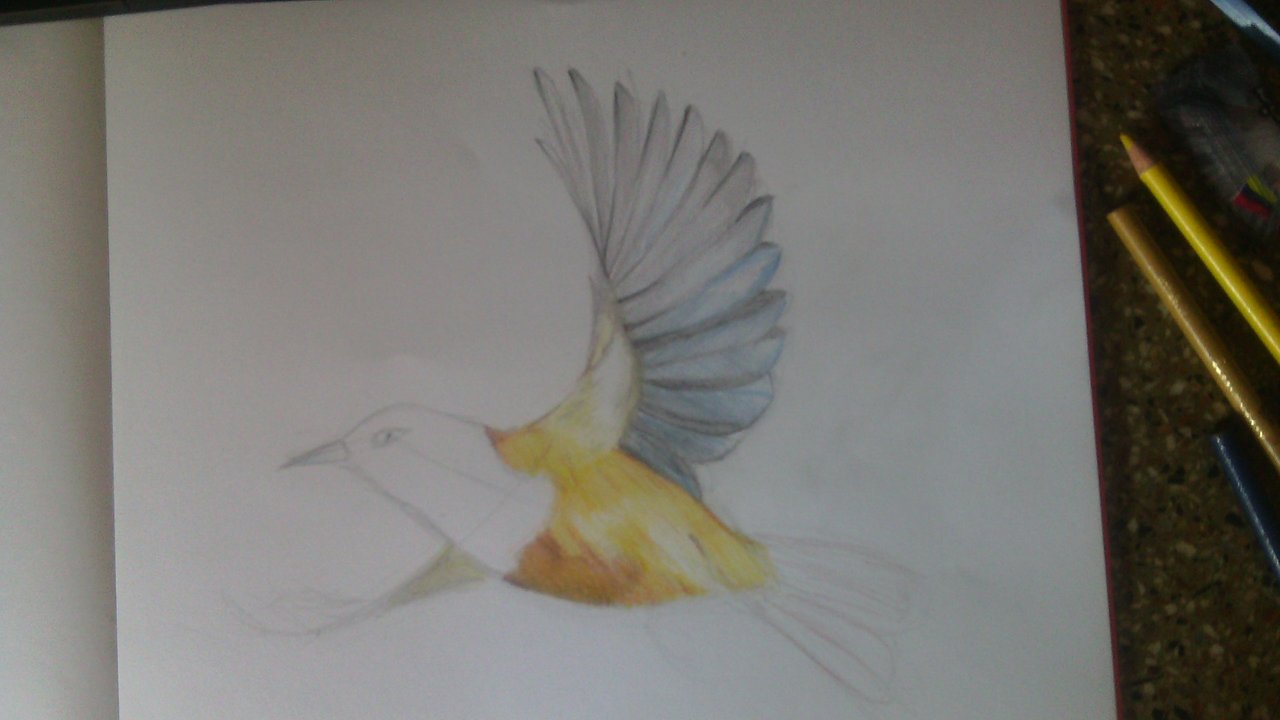 TURPIAL (PASO A PASO) — Steemit