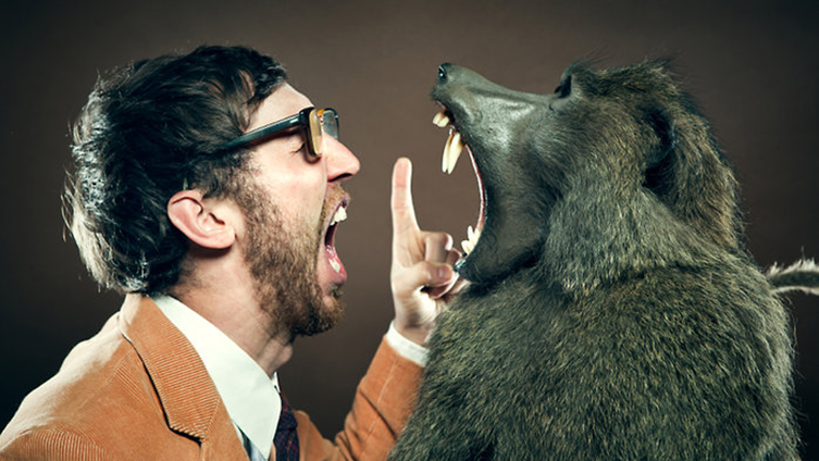 VISUAL LITERACY/ANALYSIS: Photographs — Steemit