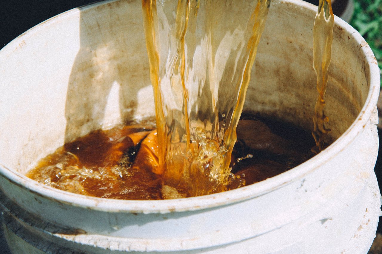 DIY Bark Tanning Leather Naturally. — Steemit