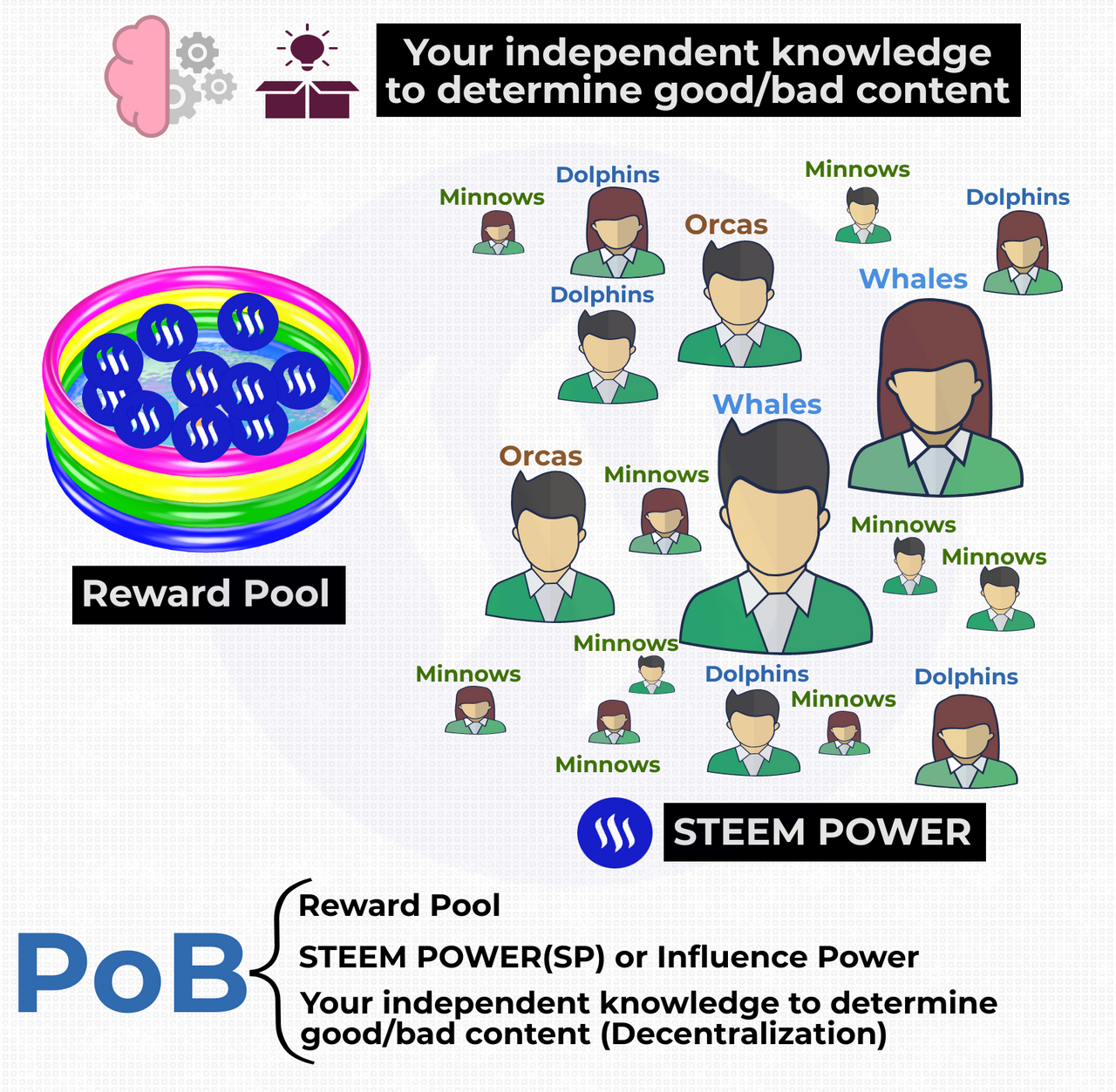 Understanding- PoB, Curation & Voting in Steem Blockchain — Steemit