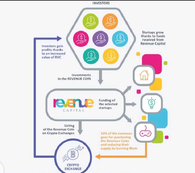 Revenue Coin project overview