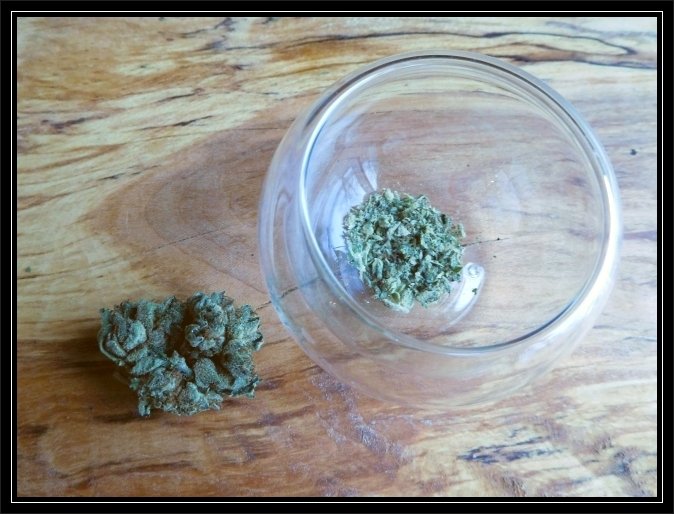 Alien Dawg ~ Strain Review — Steemit