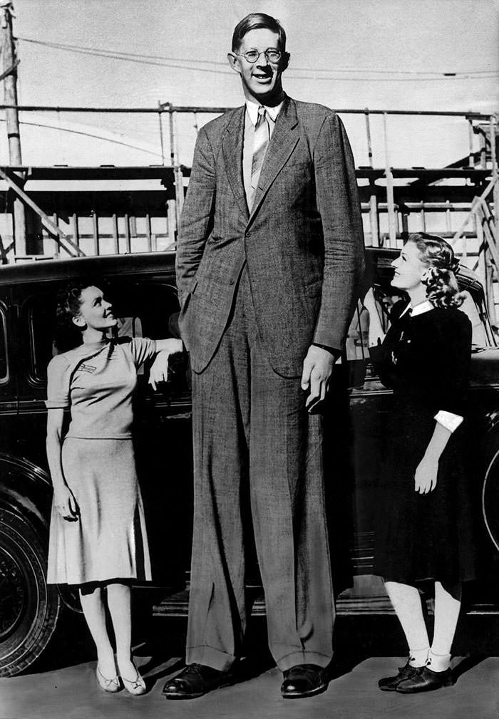 World's tallest man ever lived — Steemit