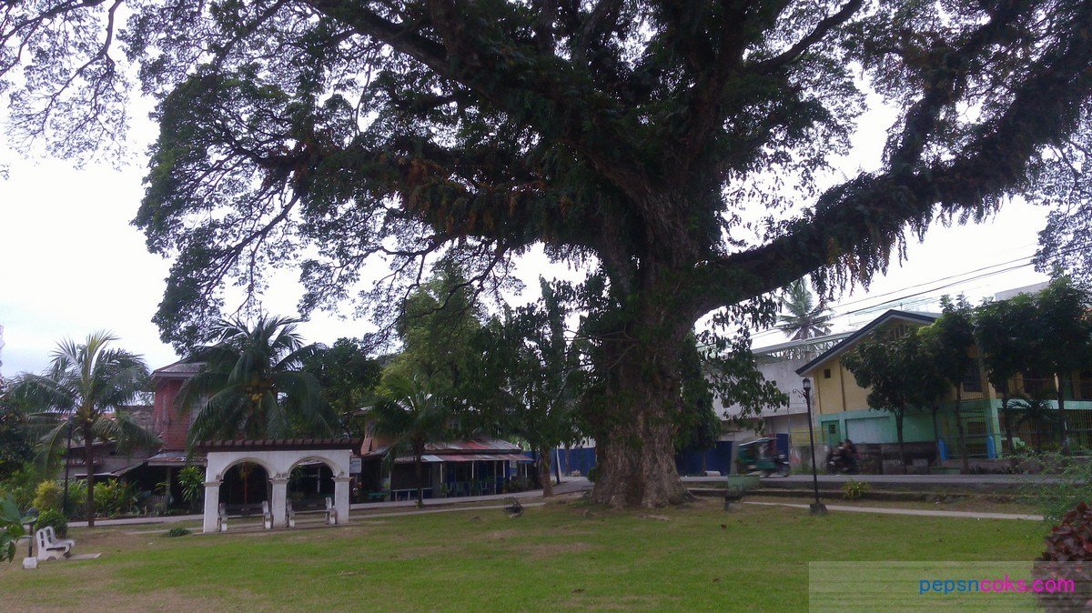 Sibonga, My Home Town! — Steemit