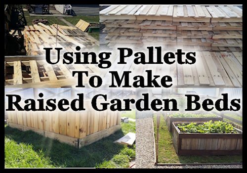 Using Pallets To Make Raised Garden Beds — Steemit