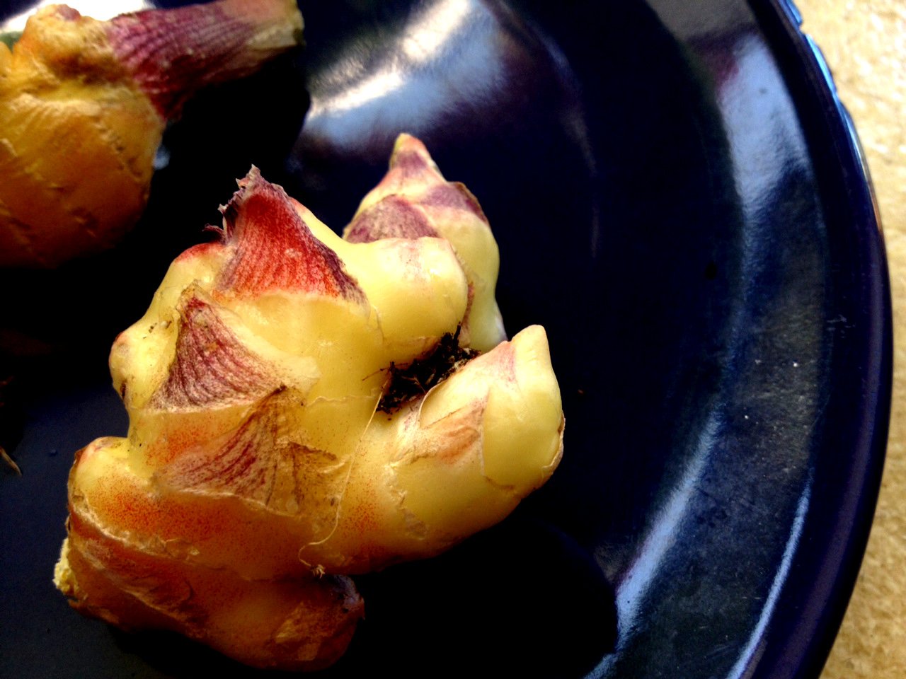 Growing Ginger Indoors -- Step by Step with Pictures -- Organic Fresh ...