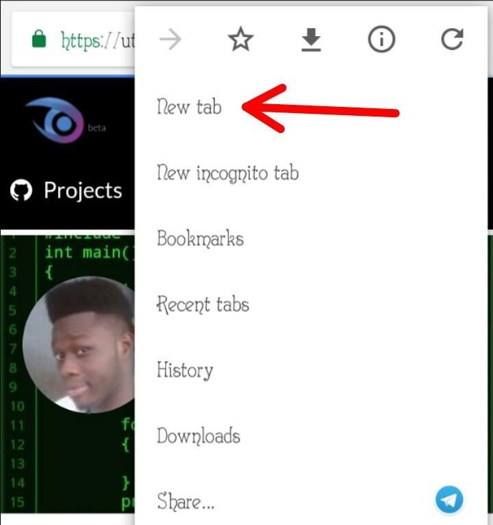 Multi-Tab Feature For DuckDuckGo — Steemit