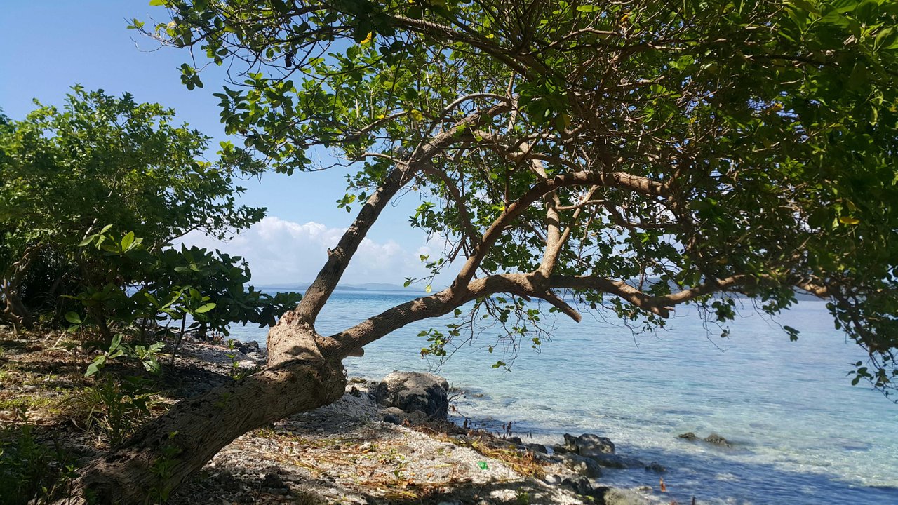 BASUL ISLAND — Steemit