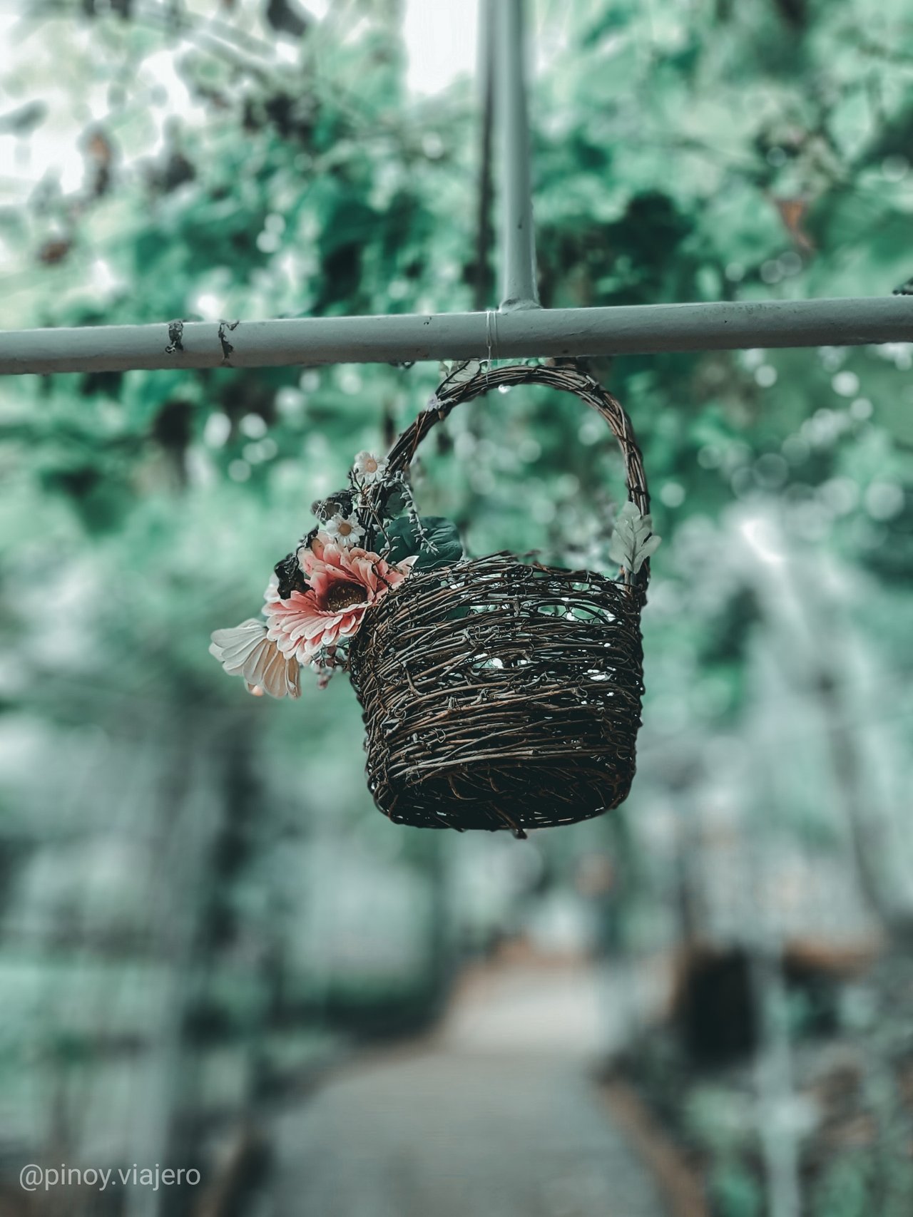 Welcome to The Gingerbread House in Alfonso, Cavite, Philippines — Steemit