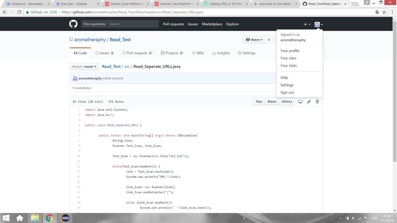 Reading Text Files And Parsing It Using Iterators And Delimiter In Java