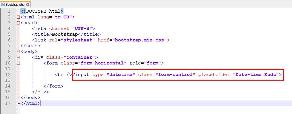 Bootstrap Datetime, Datetime-local, Month ve Time Kodu | Turkish ...