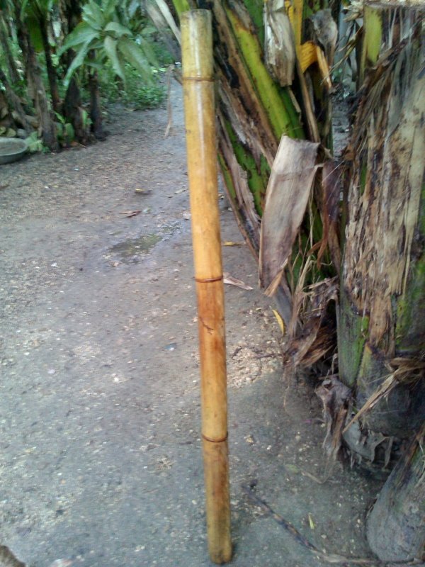 Bamboo Pots? Making Hanging and Indoor Pot....... — Steemit