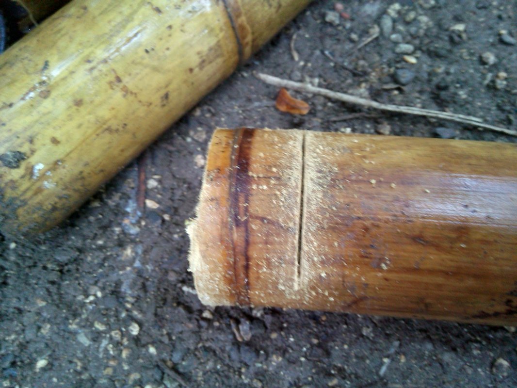 Bamboo Pots? Making Hanging and Indoor Pot....... — Steemit