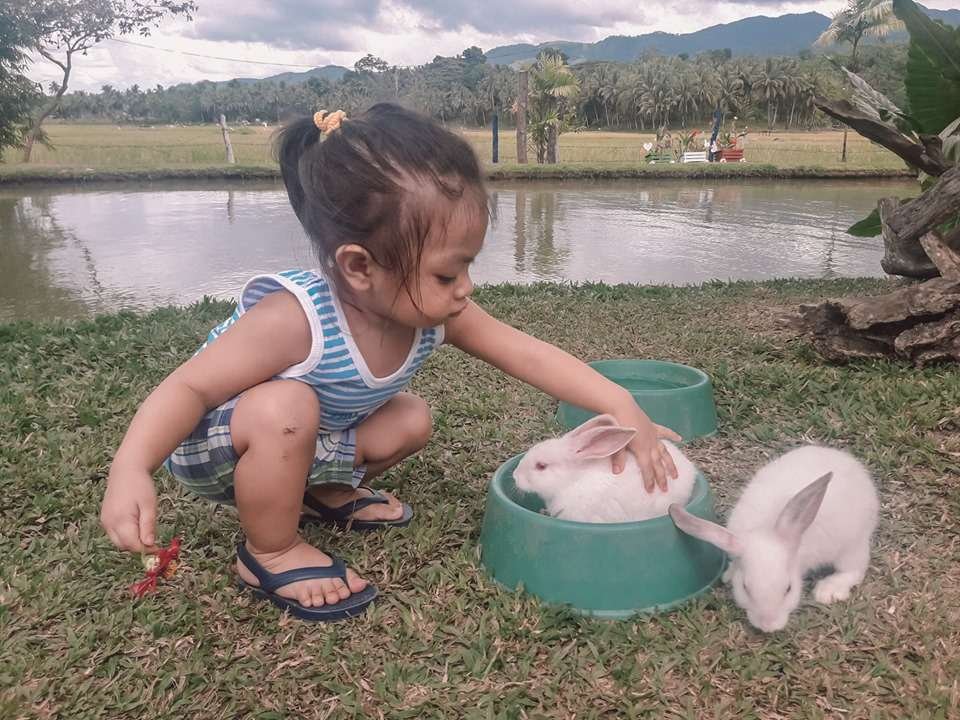 Weekly Review #03 - La Caridad Farm — Steemit