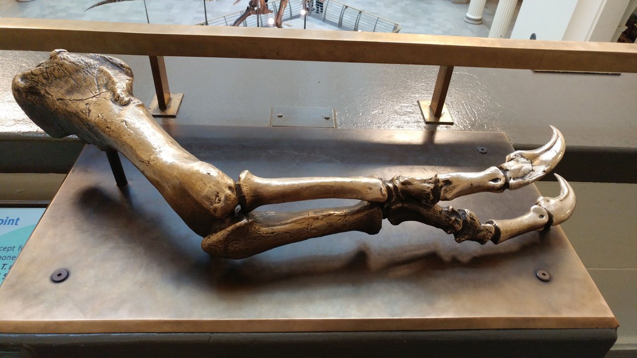 Chicago's Terrible Lizard — Steemit