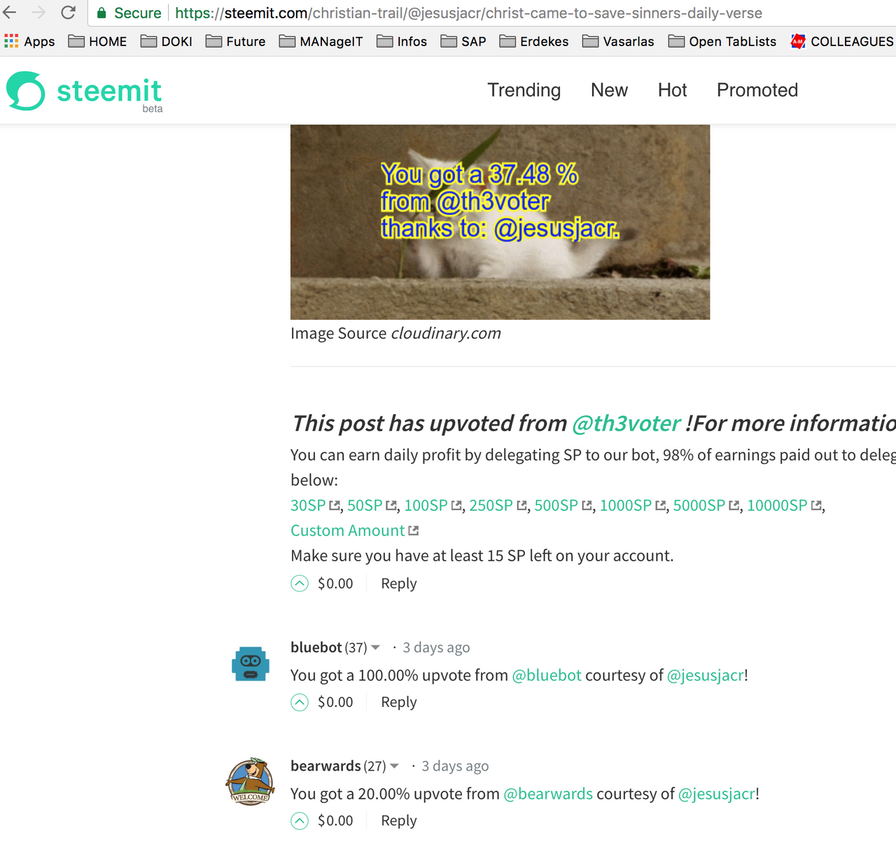 New voting bot - Bearwards — Steemit