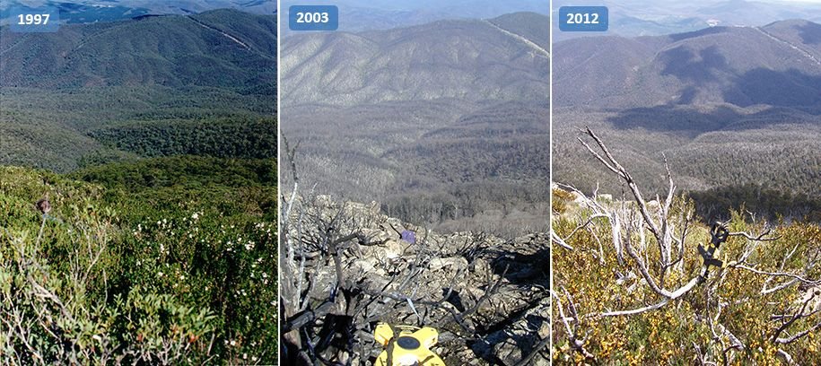 WHICH IS WHICH ? :A COMPARISON BETWEEN THE PAST AND THE PRESENT THINGS ...