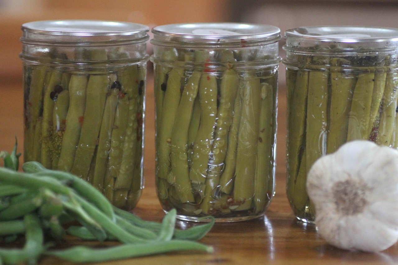 Delicious Homemade Dilly Beans — Steemit