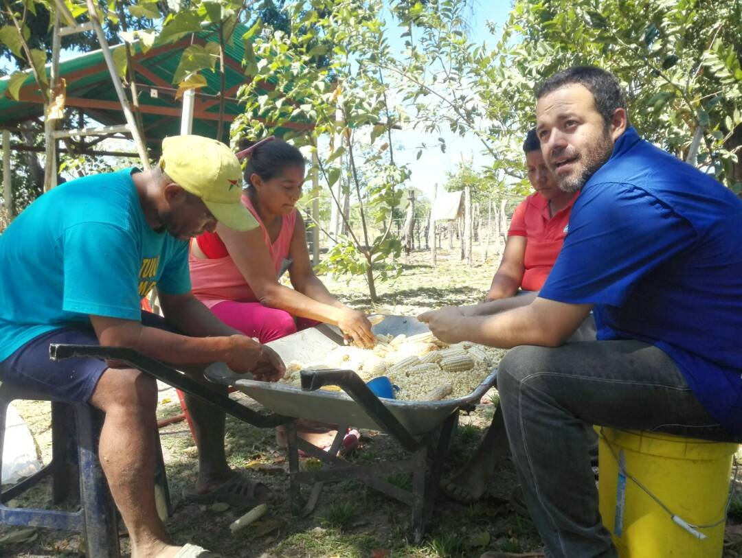 ¿Qué es el fororo? ¿Cómo se come? — Steemit