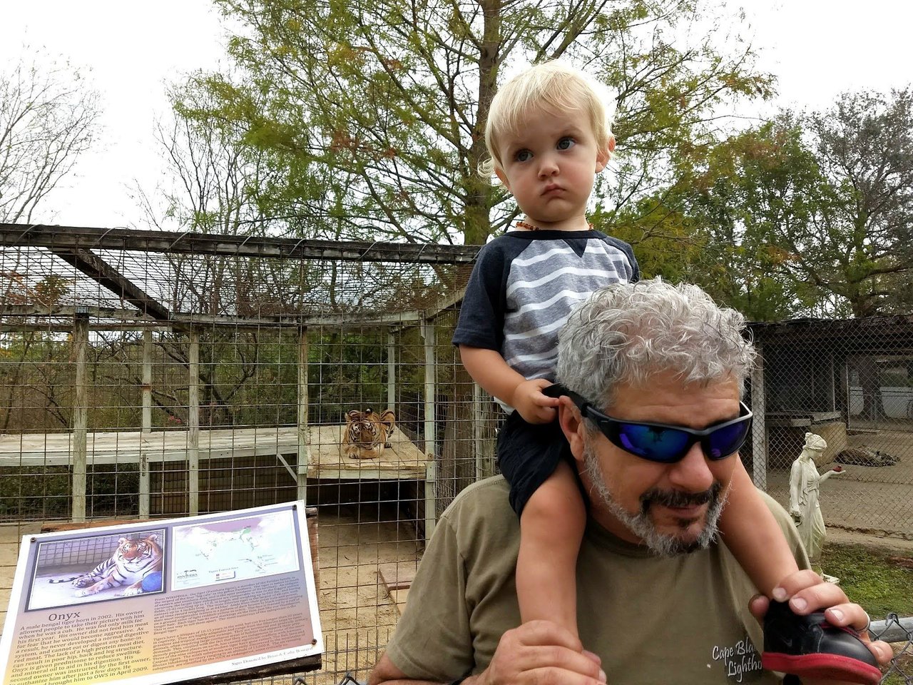 Lions and Tigers and Bears, Oh My! Octagon Wildlife Sanctuary — Steemit