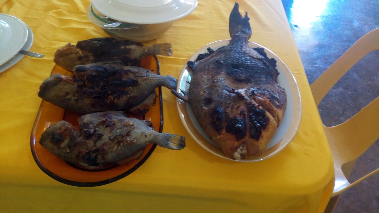 Broiled Pacol Fish — Steemit