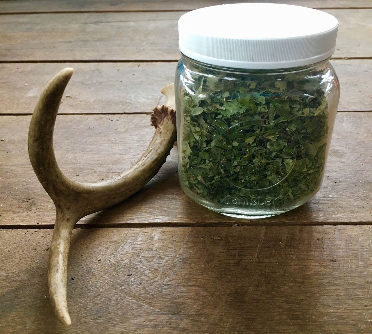 Persimmon Leaf Tea | A Wild Tea That’s Good For The Heart — Steemit