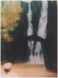 The Monster of Howick Falls — Steemit