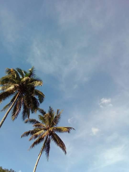 Travel Impasugong's Atugan: Forty Pesos Worth of Paradise — Steemit