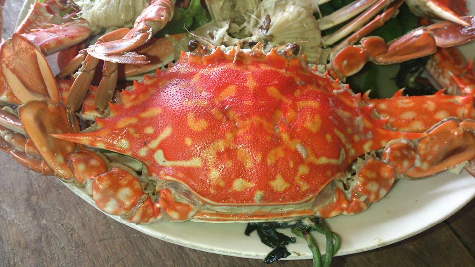 See the beauty of this Island: Lingig Surigao del Sur — Steemit