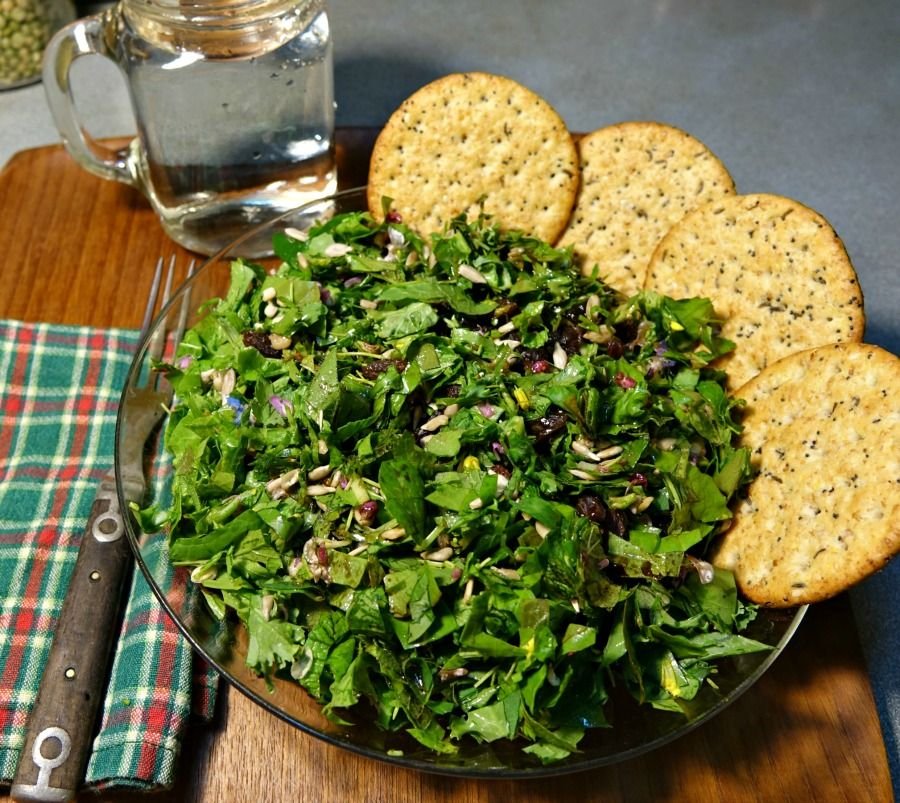 Hop Shoots - The Other Hop Crop! - 5 ways to Eat Hop Shoots — Steemit