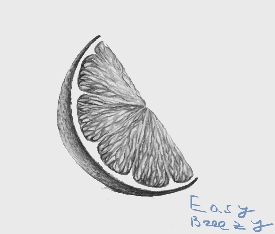 Step by step drawing lime — Steemit