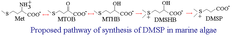 The smell of the ocean - dimethylsulfide — Steemit