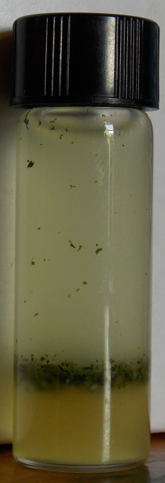 DIY 8 Minute Home CBD Indicator Test! (Clear and Accurate Results ...