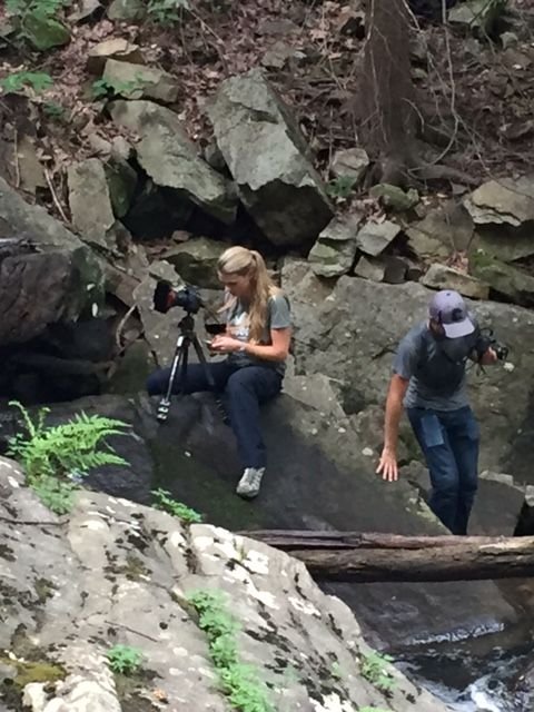 Hidden Waterfalls near Falling Water Falls, Signal Mountain, TN — Steemit
