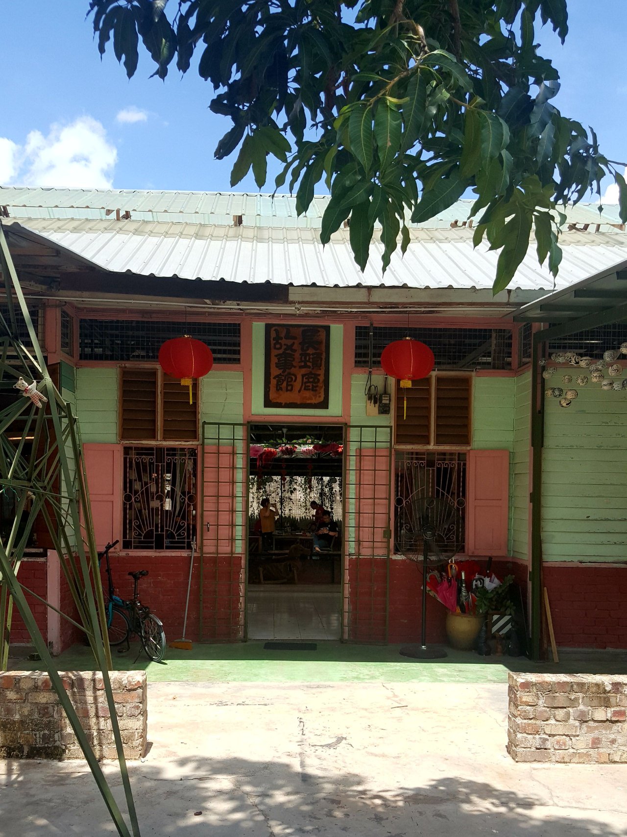 Little Giraffe Library 长颈鹿图书馆 — Steemit