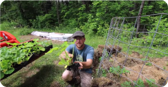 3 Uses for Moldy Hay — Steemit