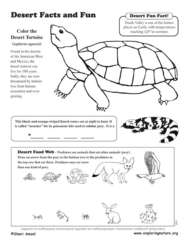 Hot deserts - A lesson for students and teachers — Steemit
