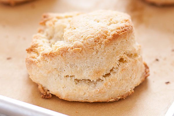 Whisker Biscuit or Bearded Clam - You Decide — Steemit