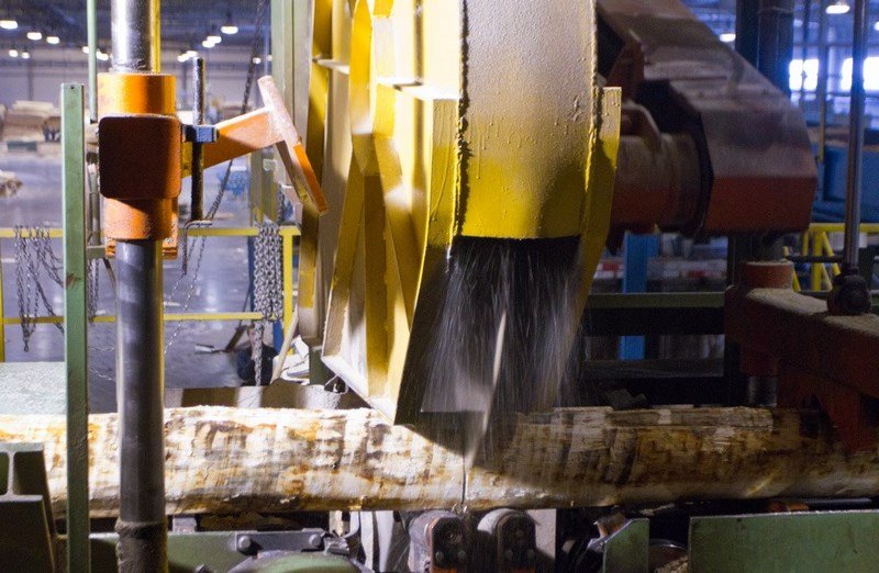 How is Plywood Production Process - Plywood Supplier