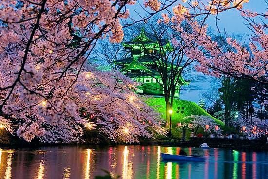 When biodiversity falls below the vital minimum