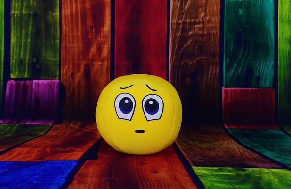 己所不欲勿施于人 One should not impose on others what he himself/herself do...