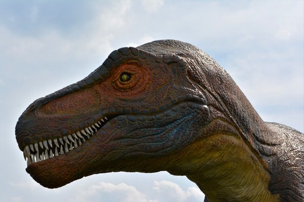 Article - The evolution of dinosaurs in nature: What do we know abo...