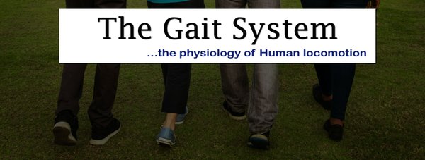 THE GAIT SYSTEM | The Physiology of Human Locomotion