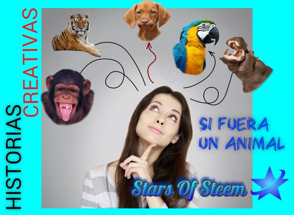 Concurso de Historias Creativas: "Si fuera un animal ¿Cuál sería?"