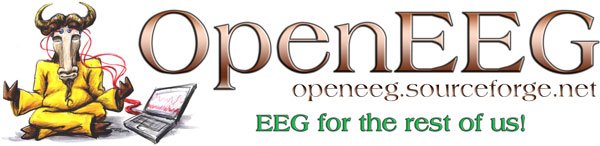 DIY EEG Machine Brain Hacks