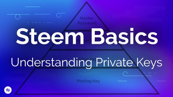 Steem Basics: Understanding Private Keys