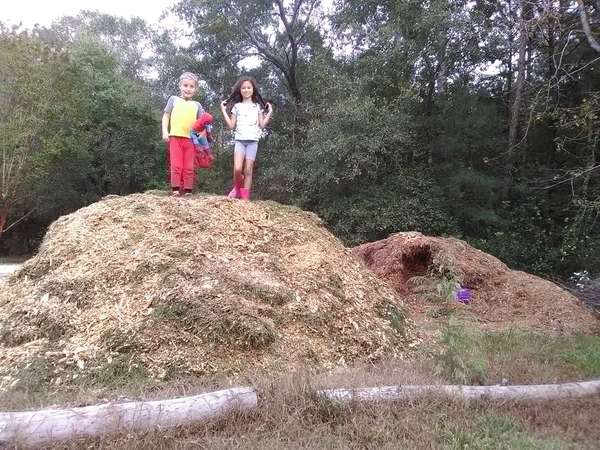 Using Your Resources