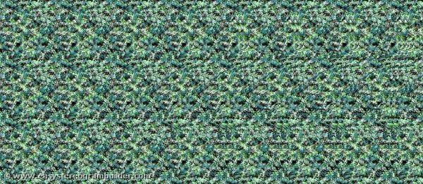 My Original Daily Stereogram - Can you see the hidden image ? #10