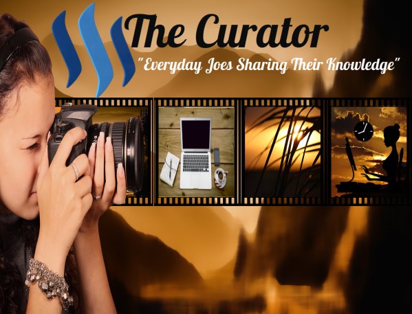 Introducing The Curator